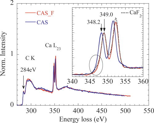 Local order of Ca in a CaF2–Al2O3–SiO2 glass by electron energy-loss ...