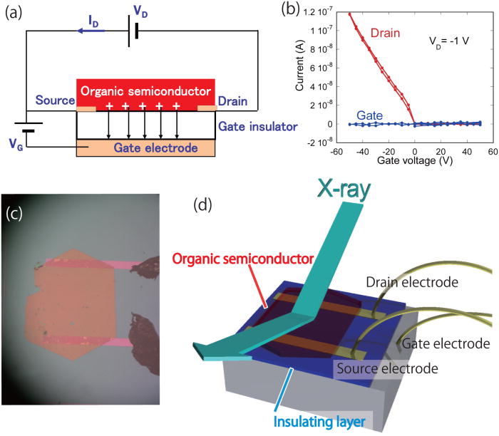 Interface structure of the rubrene crystal field effect transistor ...
