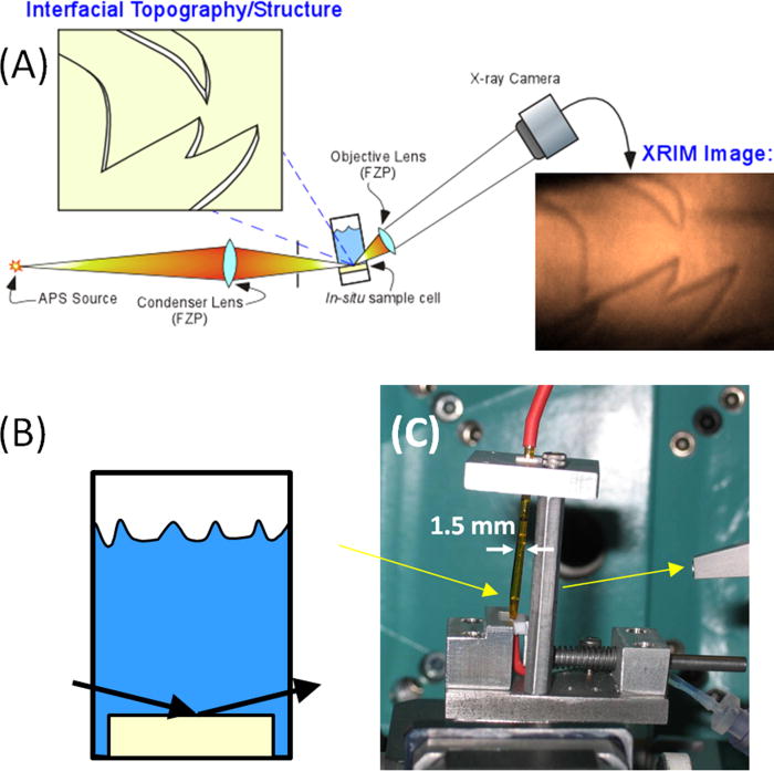In situ imaging of orthoclase–aqueous solution interfaces with x-ray ...