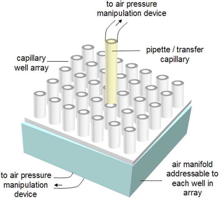 Discrete microfluidics transfer across capillaries using liquid bridge ...