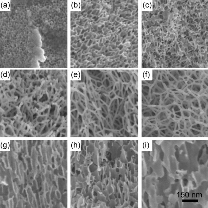 Extended x-ray absorption fine structure study of porous GaSb formed by ...