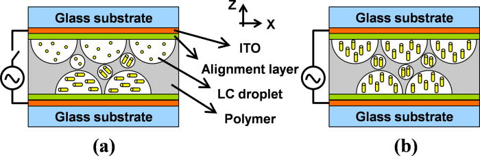 A polarization independent liquid crystal phase modulation adopting ...