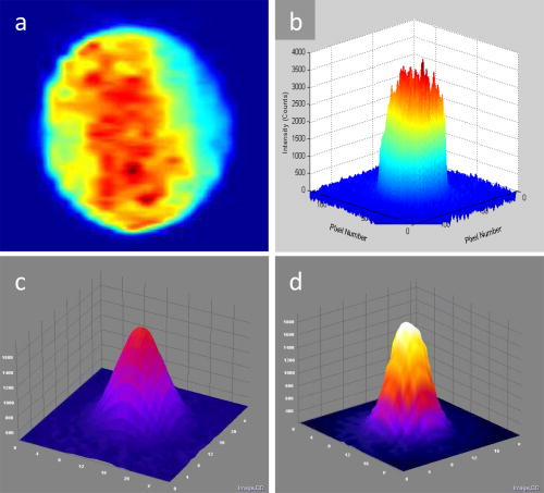Surface modification of monocrystalline zinc oxide induced by high ...
