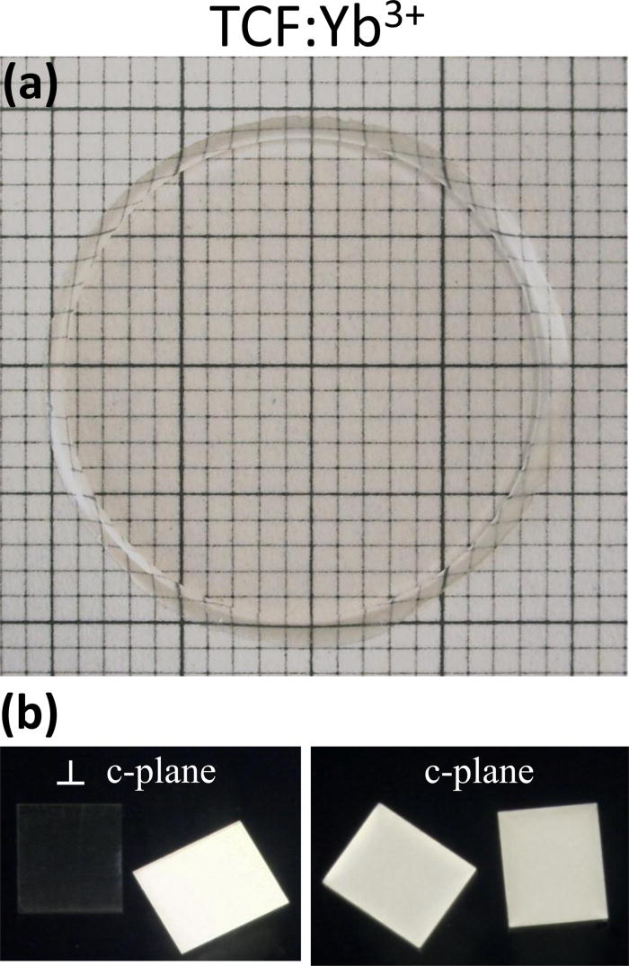Tb3+-Yb3+ cooperative down and up conversion processes in Tb0.81Ca0 ...