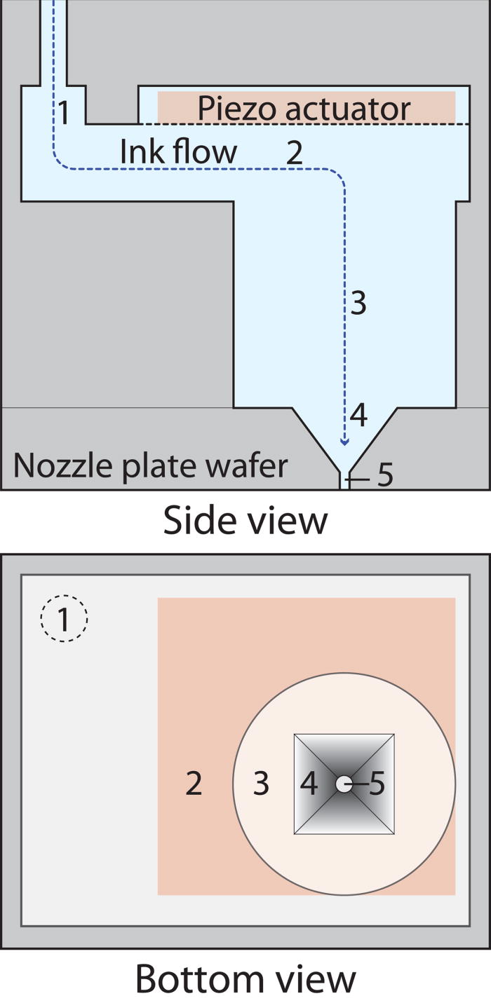 Infrared imaging and acoustic sizing of a bubble inside a micro-electro ...