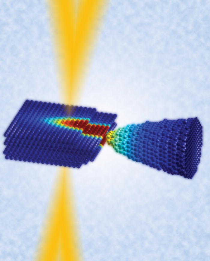 Watching domains grow: In-situ studies of polarization switching by ...