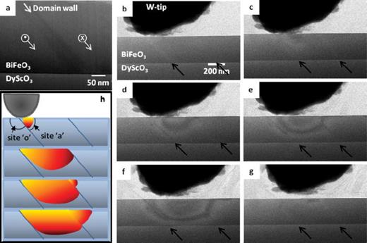 Watching domains grow: In-situ studies of polarization switching by ...