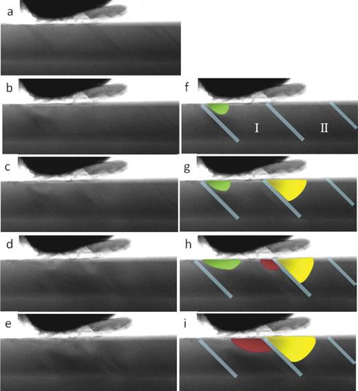 Watching domains grow: In-situ studies of polarization switching by ...