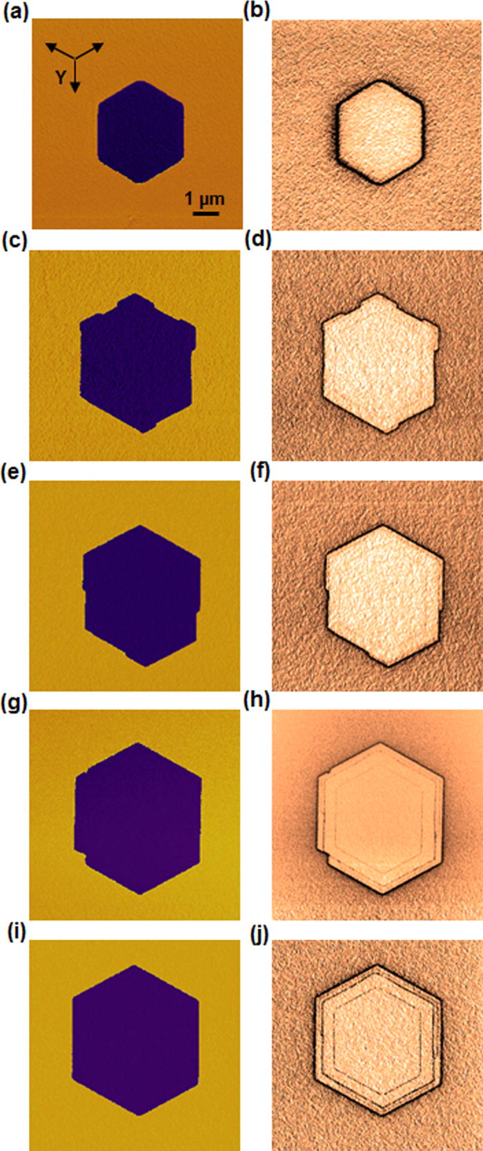 Thermal-induced domain wall motion of tip-inverted micro/nanodomains in ...