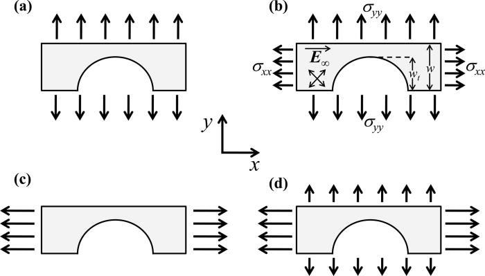 Effect of applied stress tensor anisotropy on the electromechanically ...
