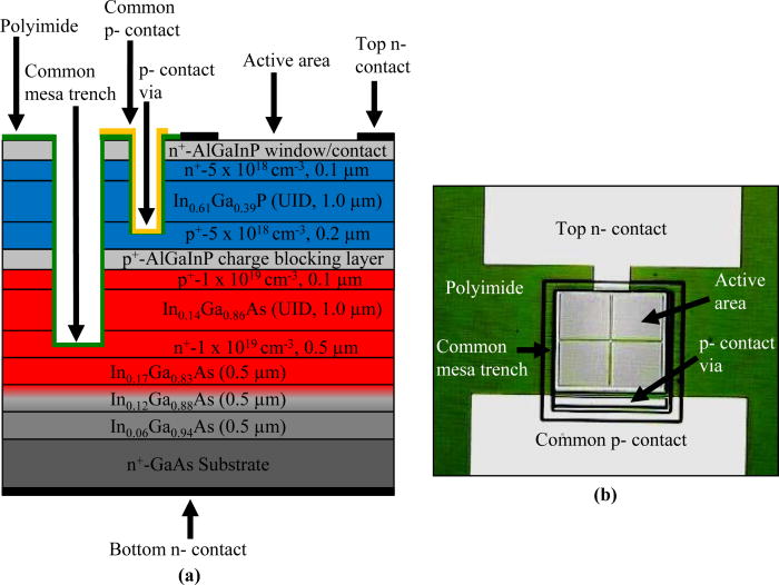 Optically Aligned Visible Near Infrared Dual Band Photodetector Materials And Devices On Gaas