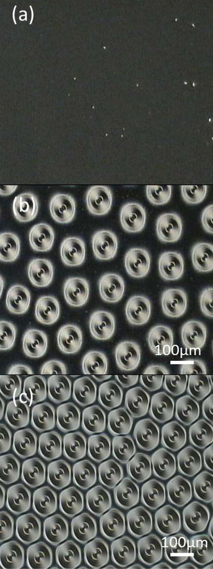 Liquid crystal bubbles forming a tunable micro-lenses array | Journal ...