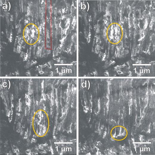 Application of transmission electron microscopy for microstructural ...