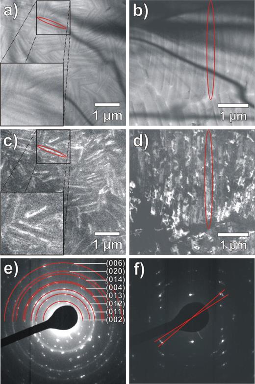 Application of transmission electron microscopy for microstructural ...