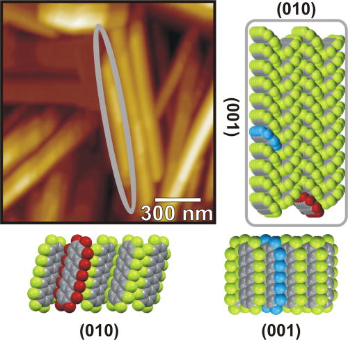 Application of transmission electron microscopy for microstructural ...