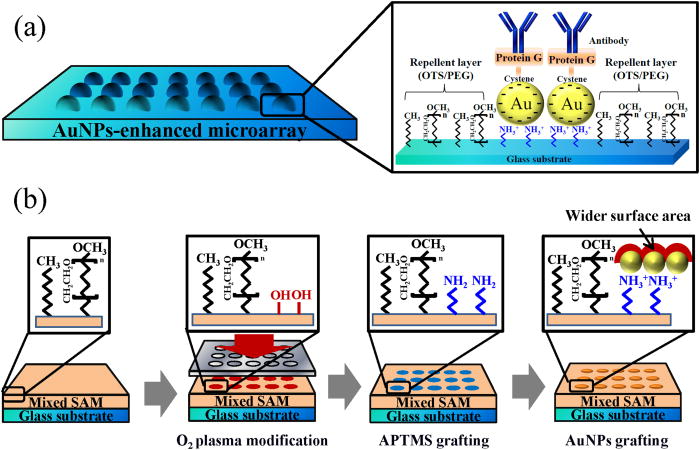 Highly effective gold nanoparticle-enhanced biosensor array on the ...