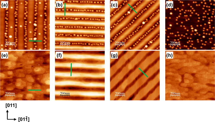 The effect of InGaAs strain-reducing layer on the optical properties of InAs quantum dot chains ...
