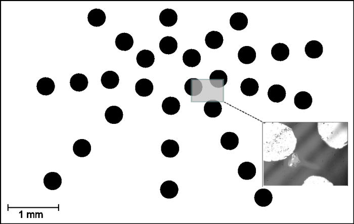 Long range lateral migration of intrinsic point defects in n-type 4H ...