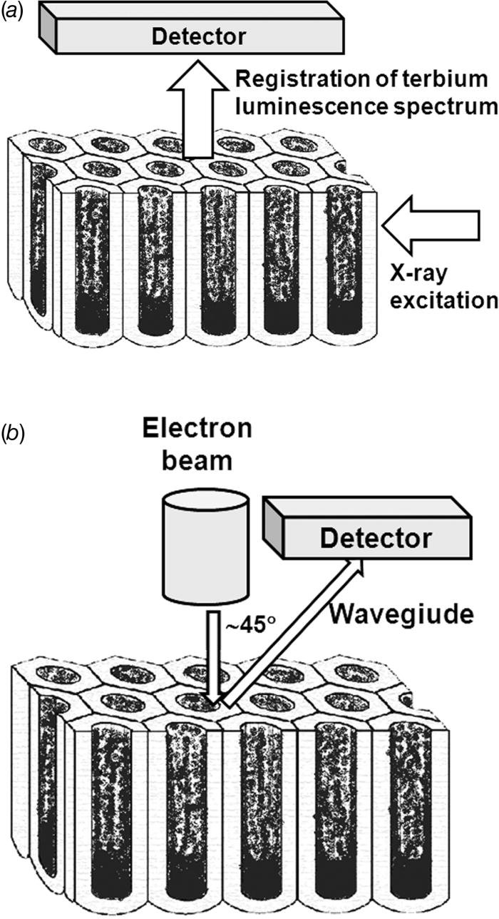 Inhomogeneous nanostructured honeycomb optical media for enhanced ...