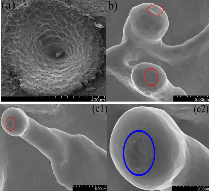 Zinc oxide micro-spheres with faceted surfaces produced by laser ...