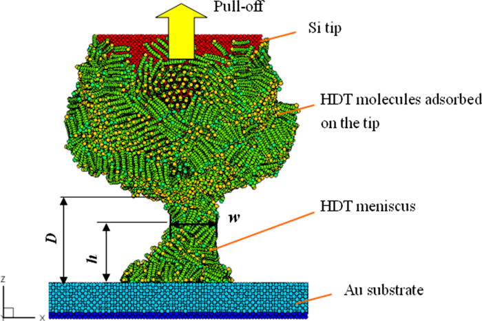 Effects of tip-substrate gap, deposition temperature, holding time, and ...