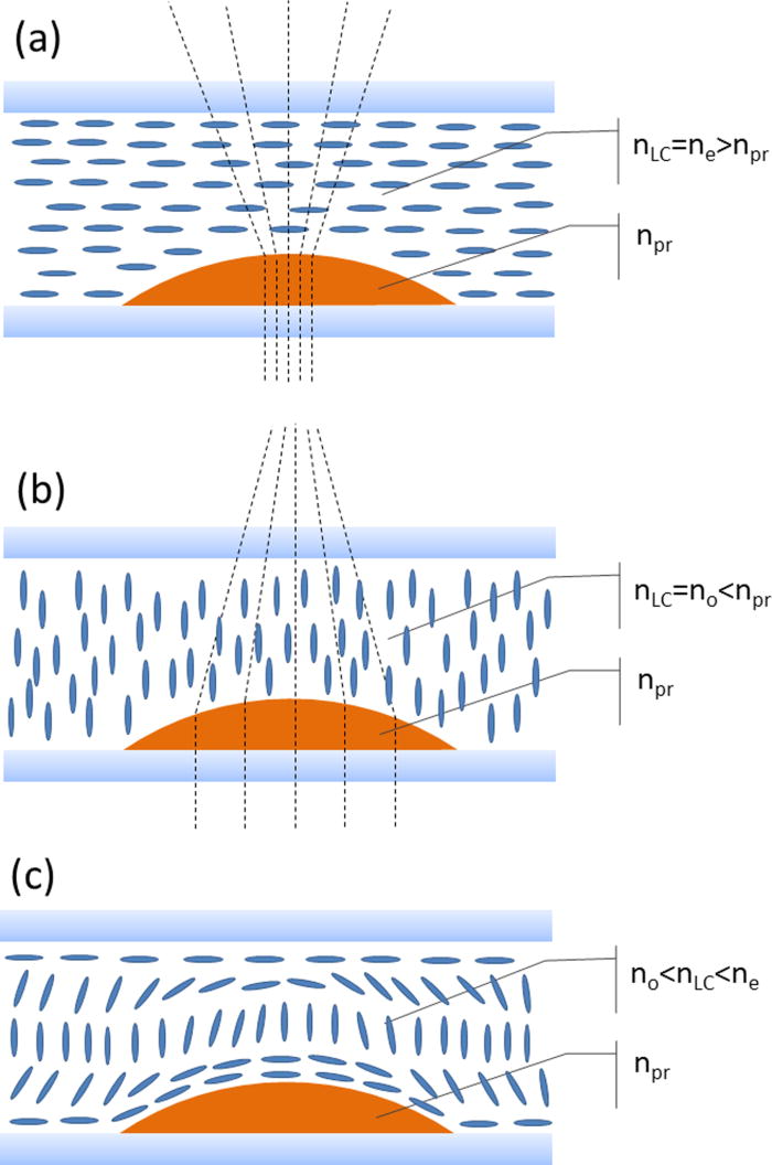 Adaptive properties of a liquid crystal cell with a microlens-profiled ...