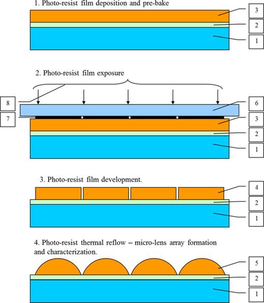 Adaptive properties of a liquid crystal cell with a microlens-profiled ...