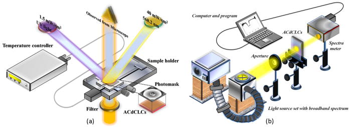 Binary cholesteric/blue-phase liquid crystal textures fabricated using ...