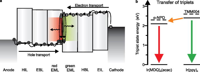 Investigation of energy transfer mechanisms between two adjacent ...