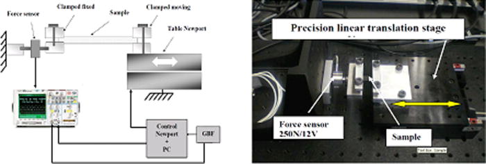 Mechanical characterization of an electrostrictive polymer for ...