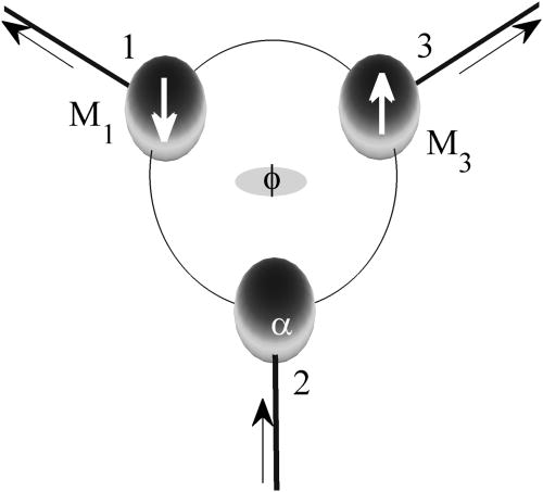 The impact of quantum dots magnetization on spin separation and spin ...