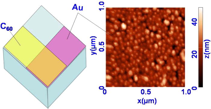Surface plasmon enhanced photoluminescence from fullerene C60 film on ...