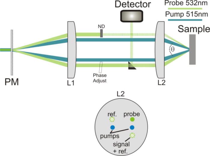 Phase-controlled, heterodyne laser-induced transient grating ...