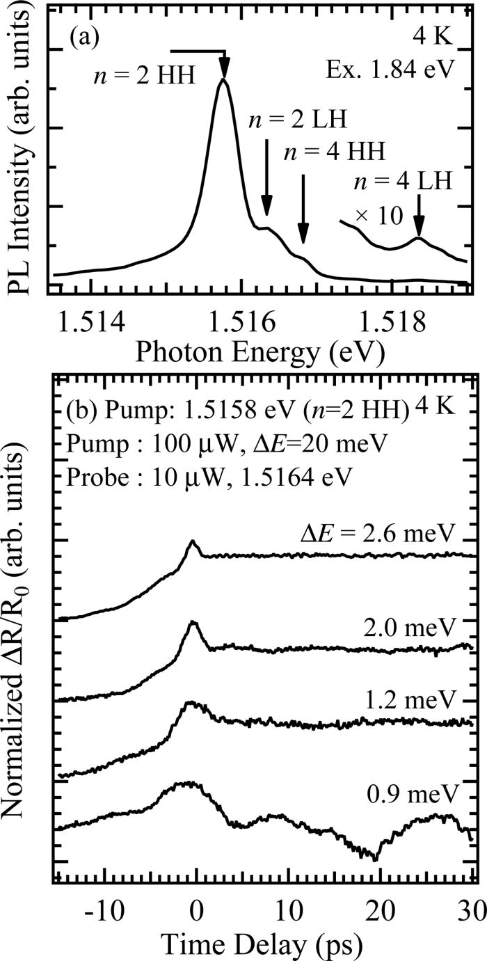 Observation of quantum beat oscillations and ultrafast relaxation of ...