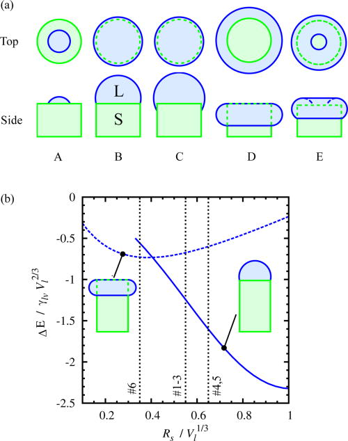Stability and topological transformations of liquid droplets on vapor ...