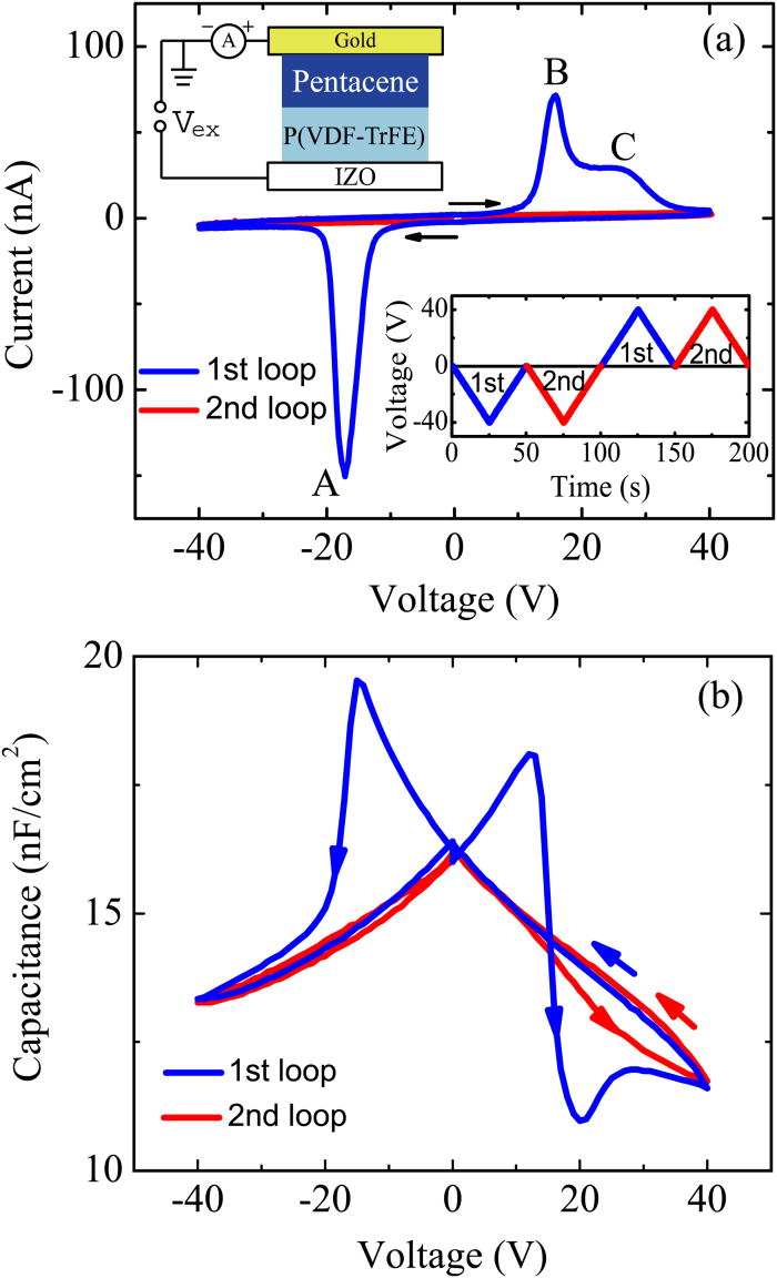 Analyzing a two-step polarization process in a pentacene/poly ...