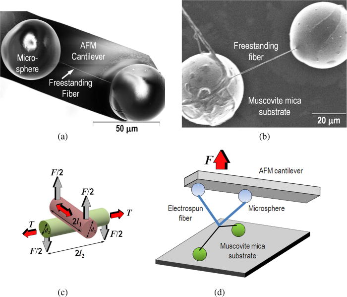 A nano-cheese-cutter to directly measure interfacial adhesion of ...