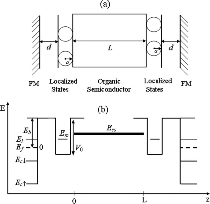 Magneto-resistance of organic spin valves due to spin-polarized tunnel ...