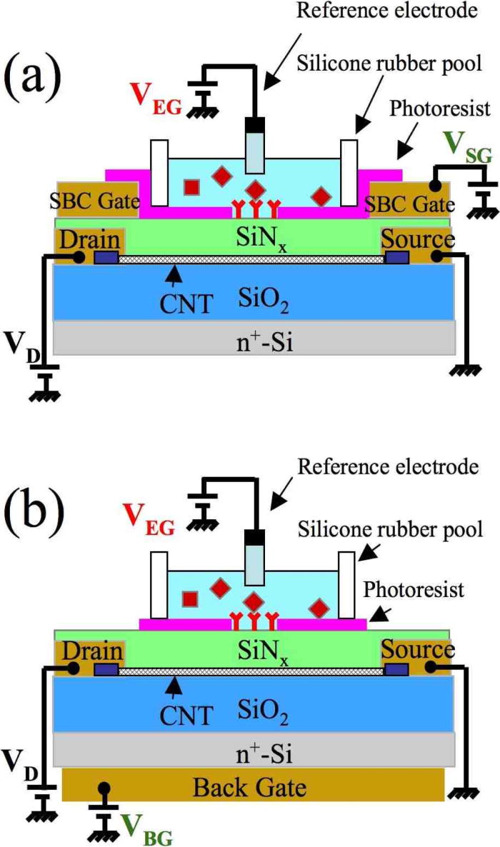 Schottky barrier control gate-type carbon nanotube field-effect transistor biosensors | Journal ...