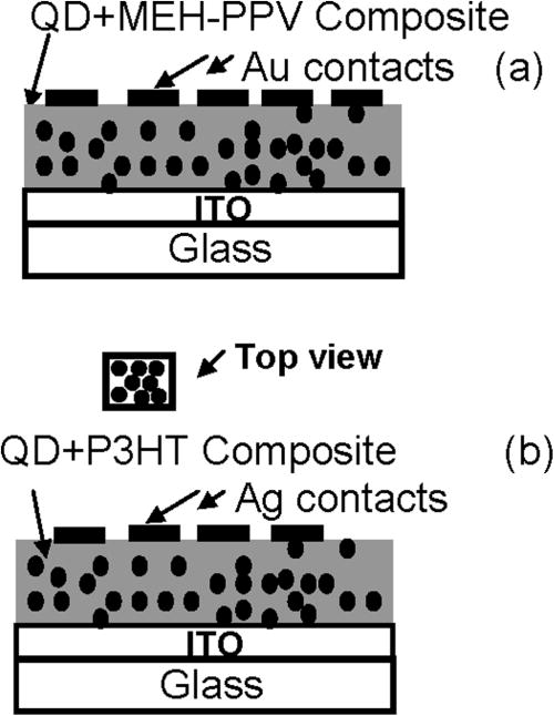 Charge transport in two different conductive polymer and semiconducting ...