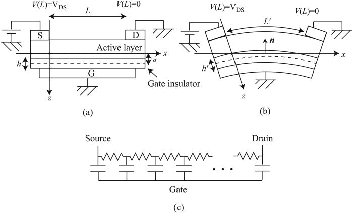 Mechanical strains modulate the carrier behaviors of organic field ...