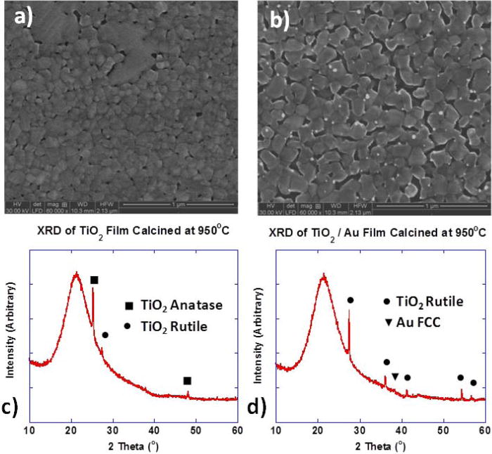 In-situ and ex-situ characterization of TiO2 and Au nanoparticle ...
