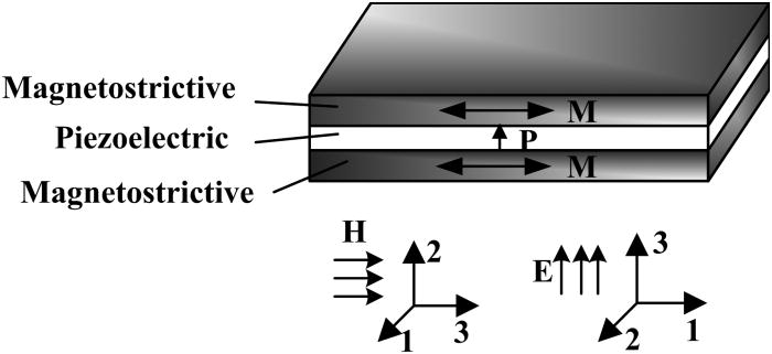 The magnetostrictive material effects on magnetic field sensitivity for ...