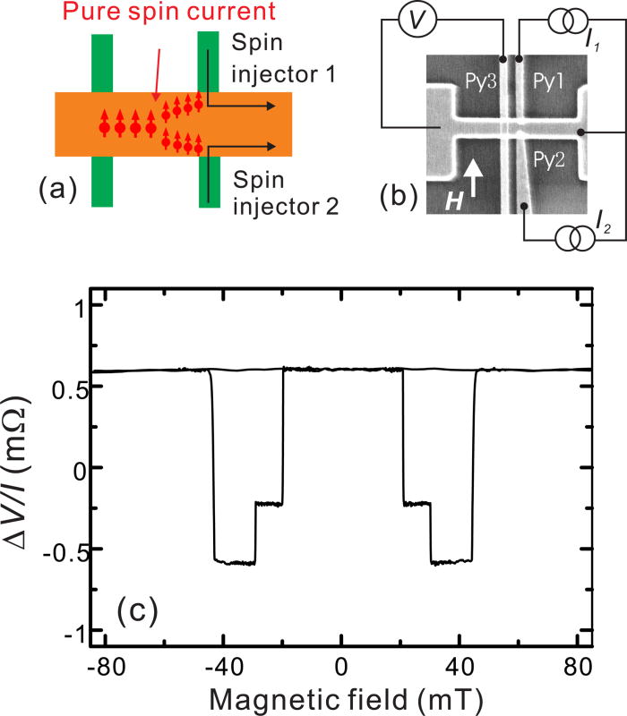 Electrical manipulation of spin polarization and generation of giant ...