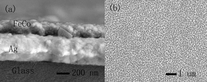 Electrodeposition and magnetic properties of FeCo alloy films | Journal ...
