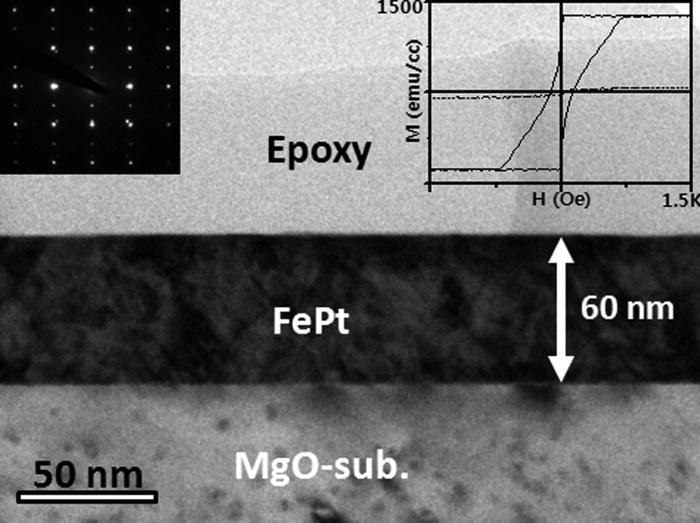 A study of the perpendicular magnetic microstructure of the L10 FePt ...