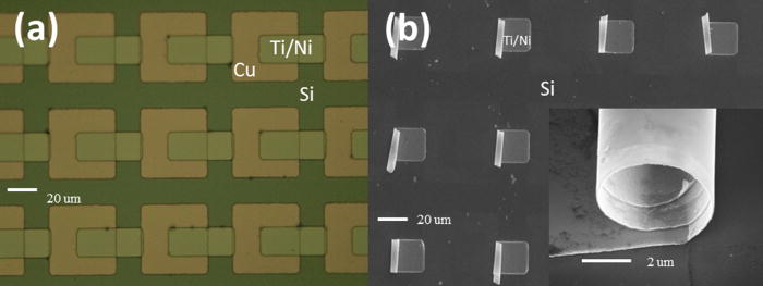 Fabrication of scrolled magnetic thin film patterns | Journal of ...