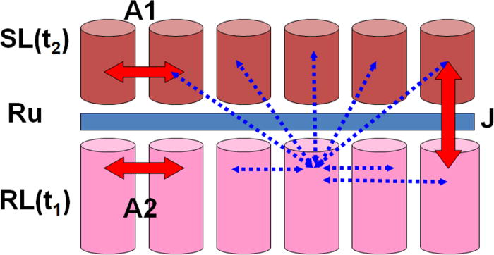 Influence of magnetic viscosity on the first order reversal curves of ...
