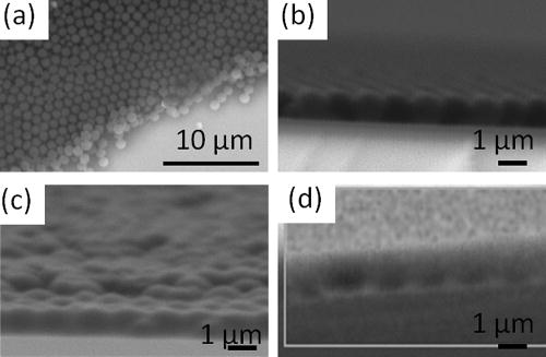 Global and local planarization of surface roughness by chemical vapor ...
