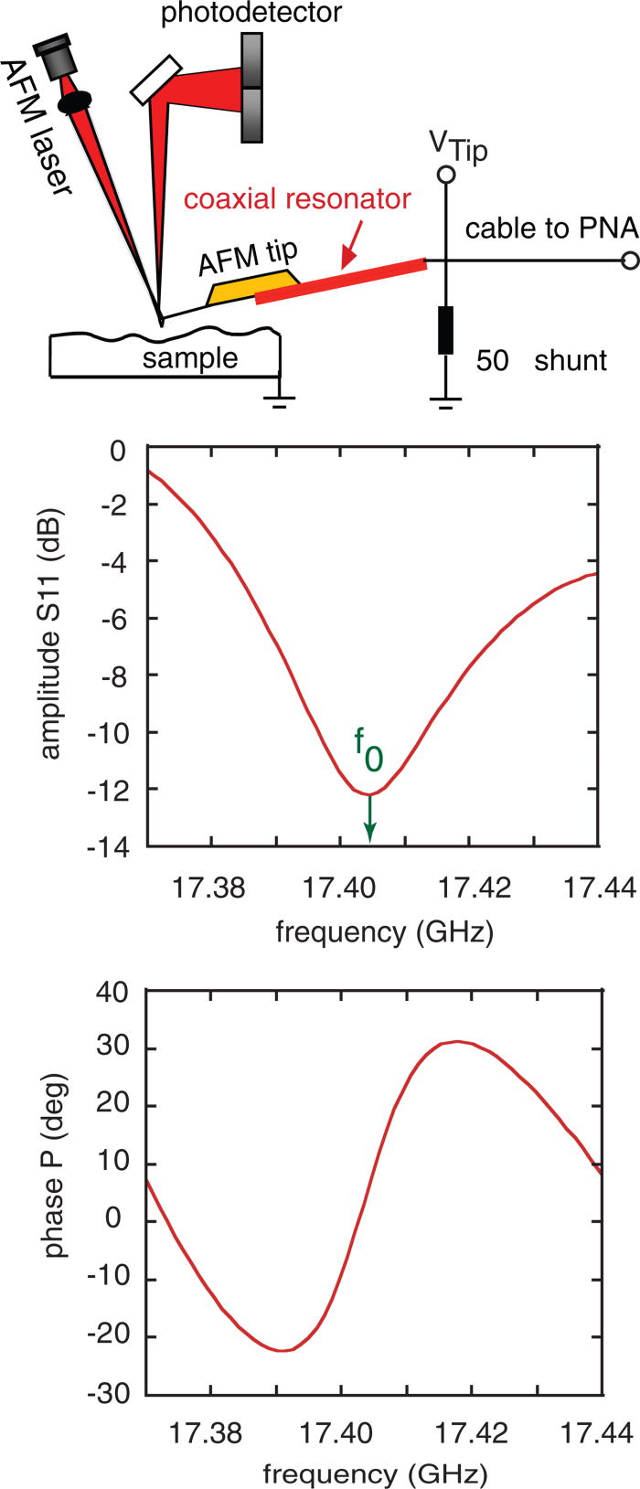 Phase and amplitude sensitive scanning microwave microscopy ...